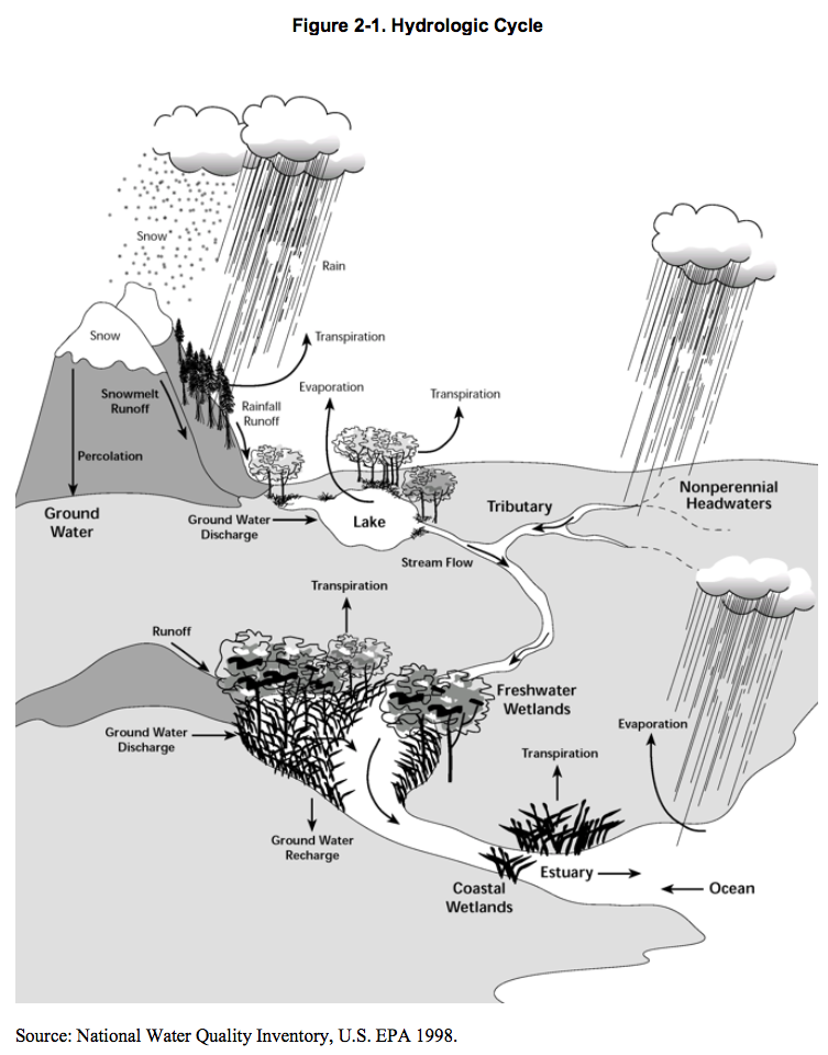 Chapter 2: Why Stormwater Matters - The Impacts of Urbanization (2004 ...